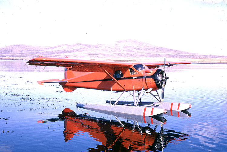 FALKLAND ISLANDS GOVERNMENT AIR SERVICE (FIGAS),Falkland Islands
