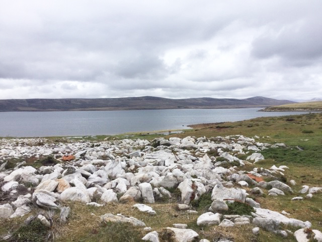 San Carlos, Falkland Islands