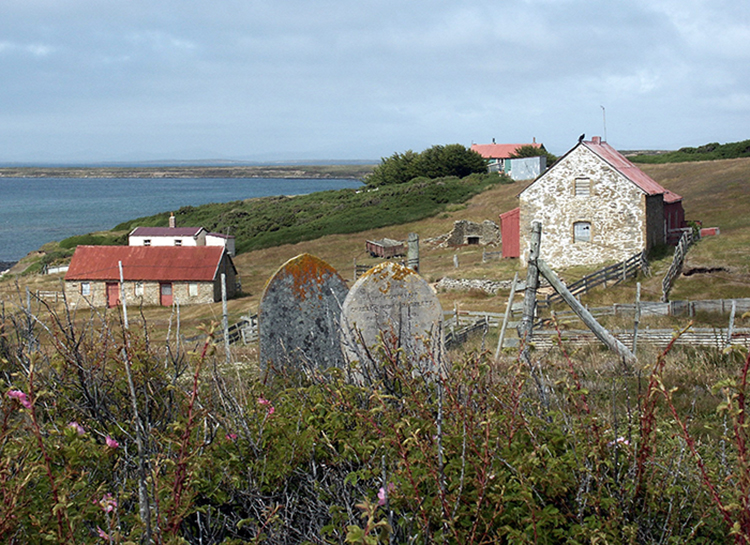 Keppel Island, Falkland Islands