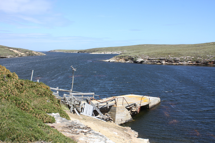 ROY COVE, Falkland Islands